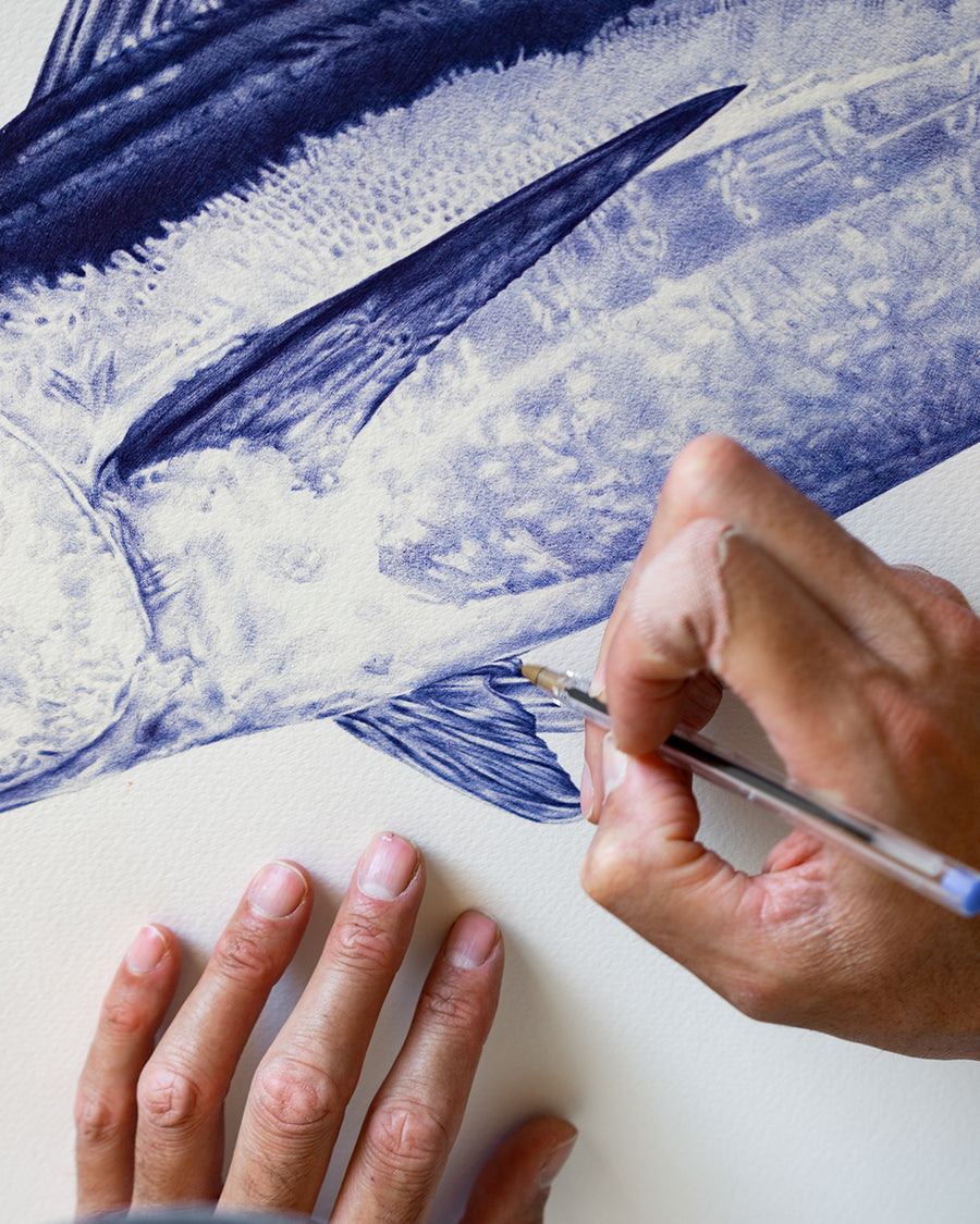 Longtail Tuna Art Print | Fish Art — Malosi – Malosi Studio