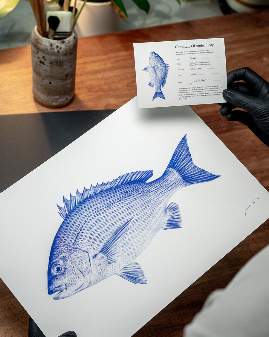Bream Art Print – Malosi Studio