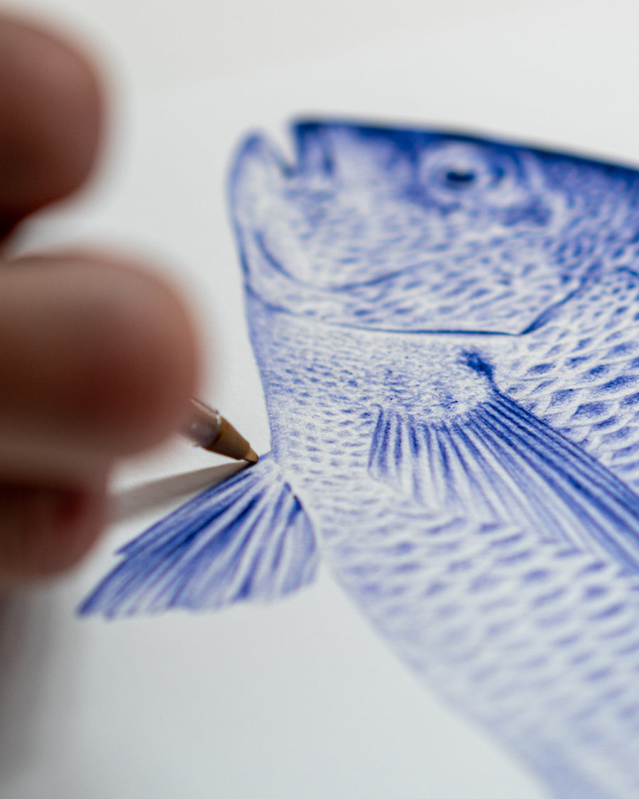 Bream Art Print – Malosi Studio