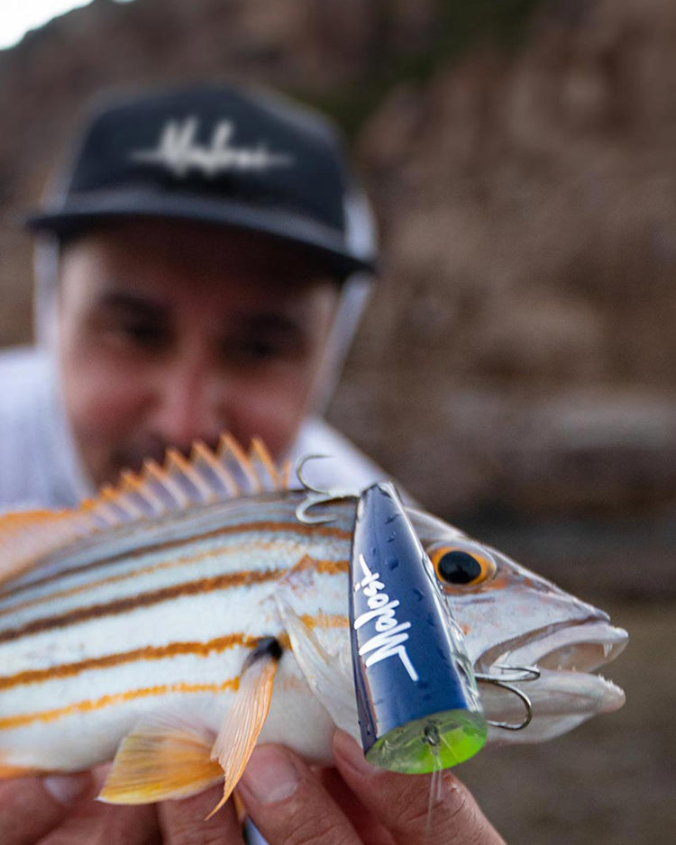 Atom – Malosi Studio