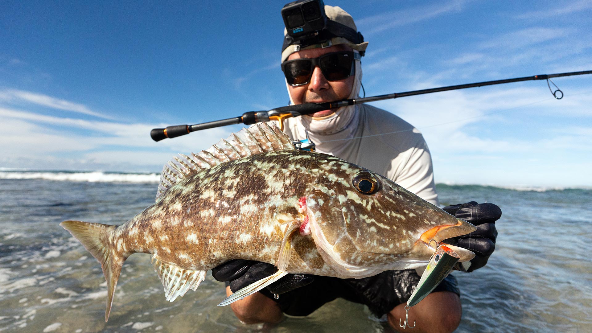 Atom – Malosi Studio