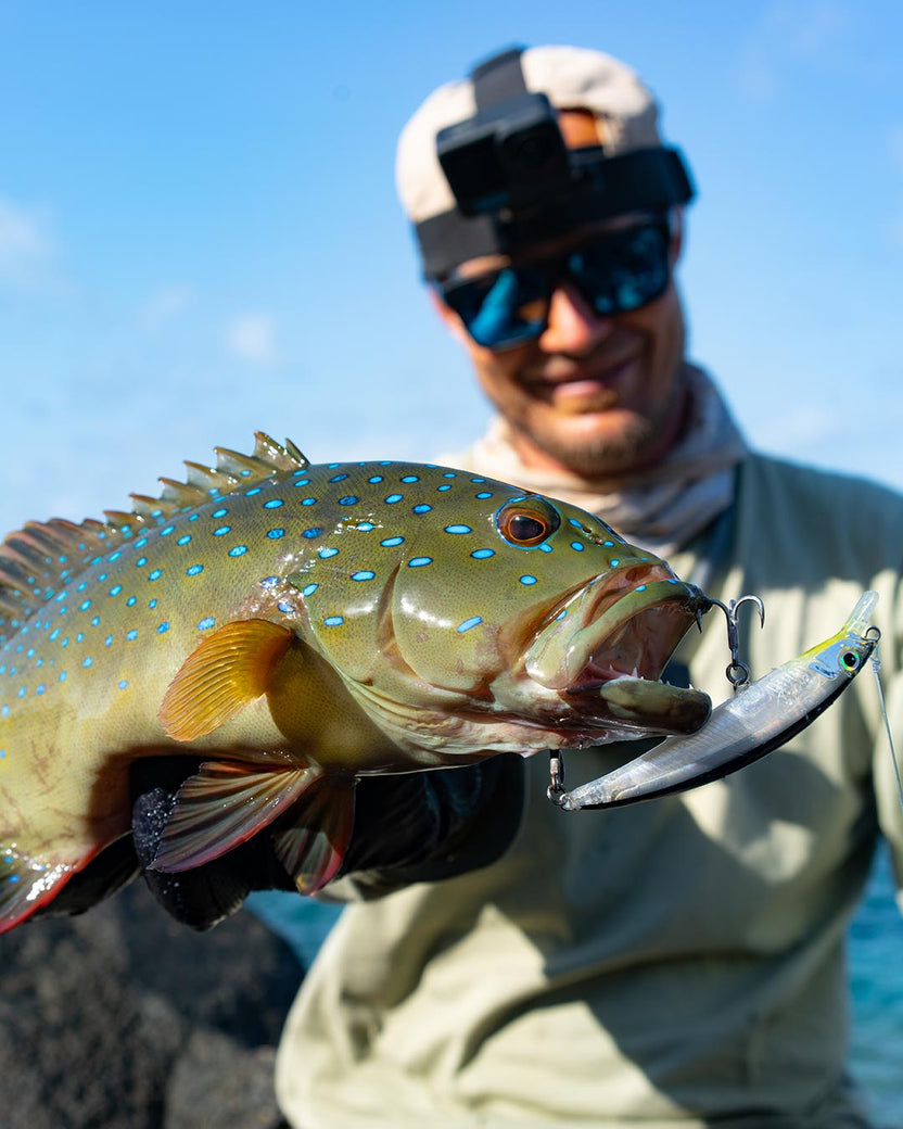 Micro – Malosi Studio